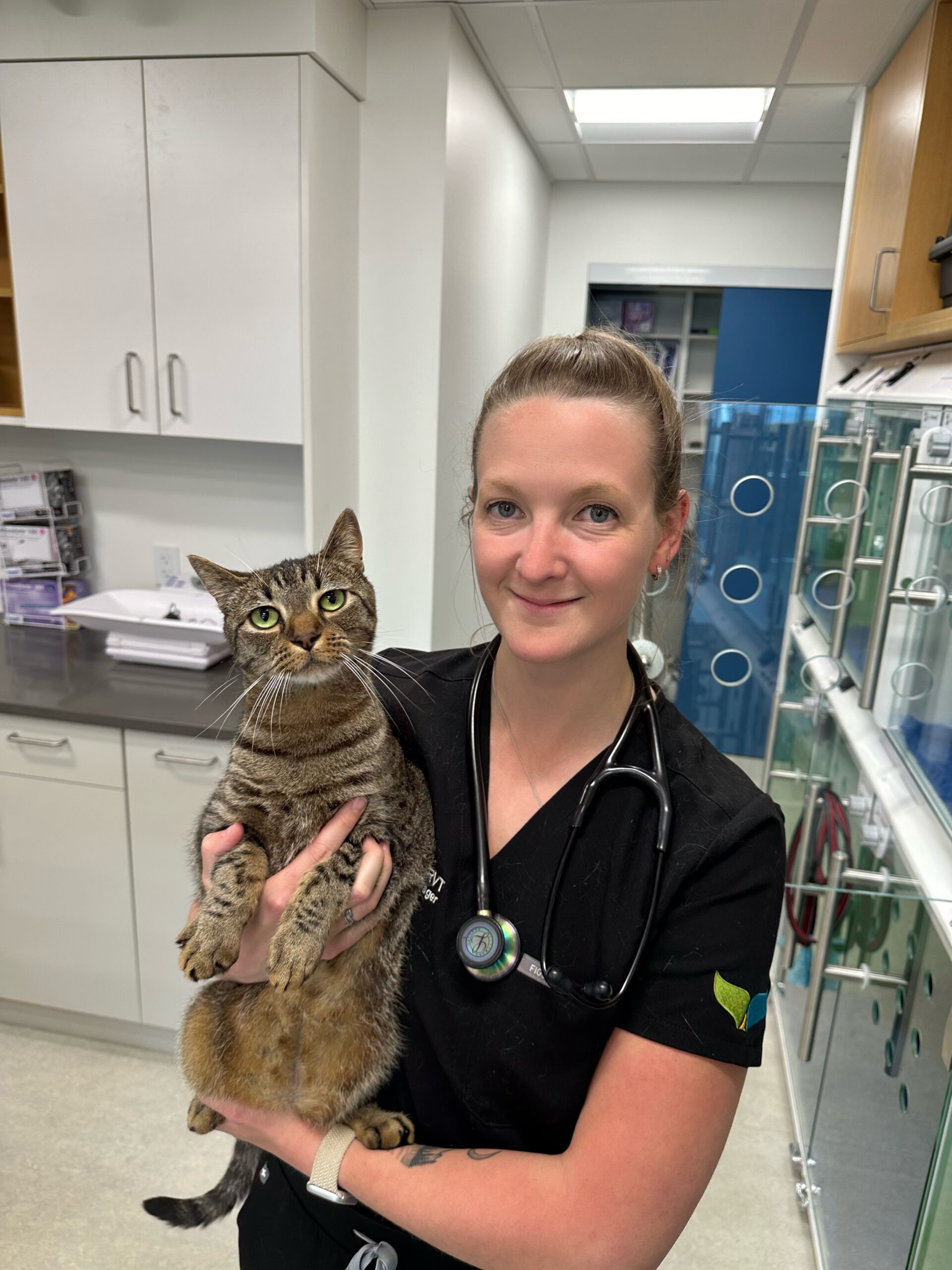 Board of Directors - British Columbia Veterinary Technologists Association